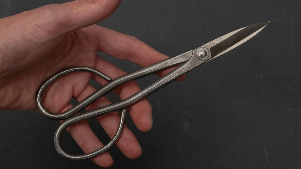 Morihei kikuyu stainless koeda twig cut pruning shears 180mm – Tetogi